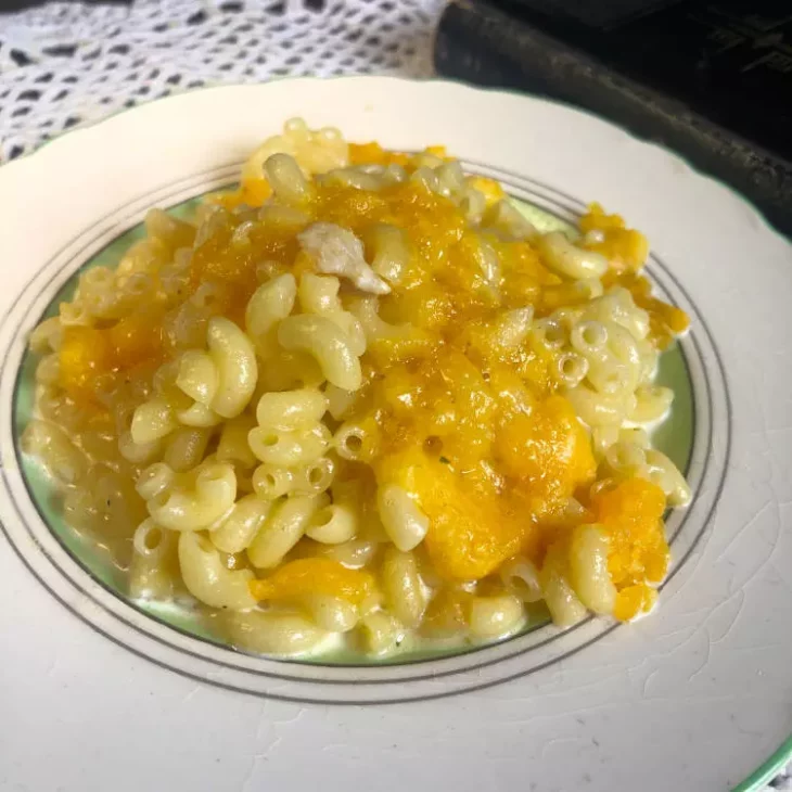 Macaroni à La Béchamel Et Au Cheddar
